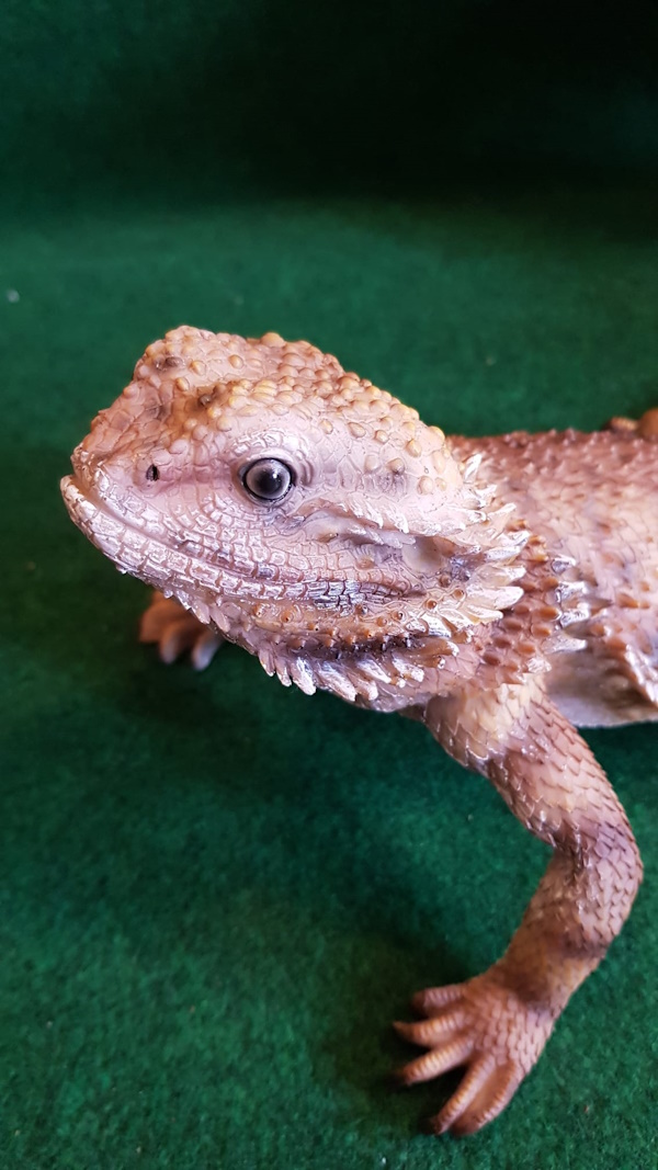 Bartagame/Dekofiguren günstig Online kaufen XO-SHOP