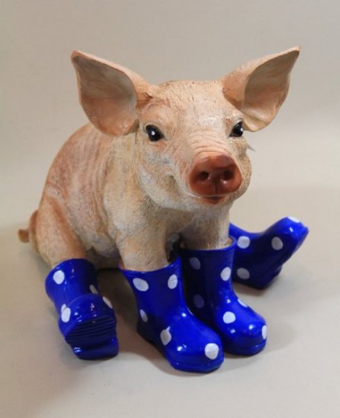 Schwein Mit Gummistiefel