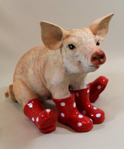 Schwein Mit Gummistiefel