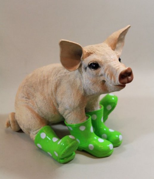 Schwein Mit Gummistiefel